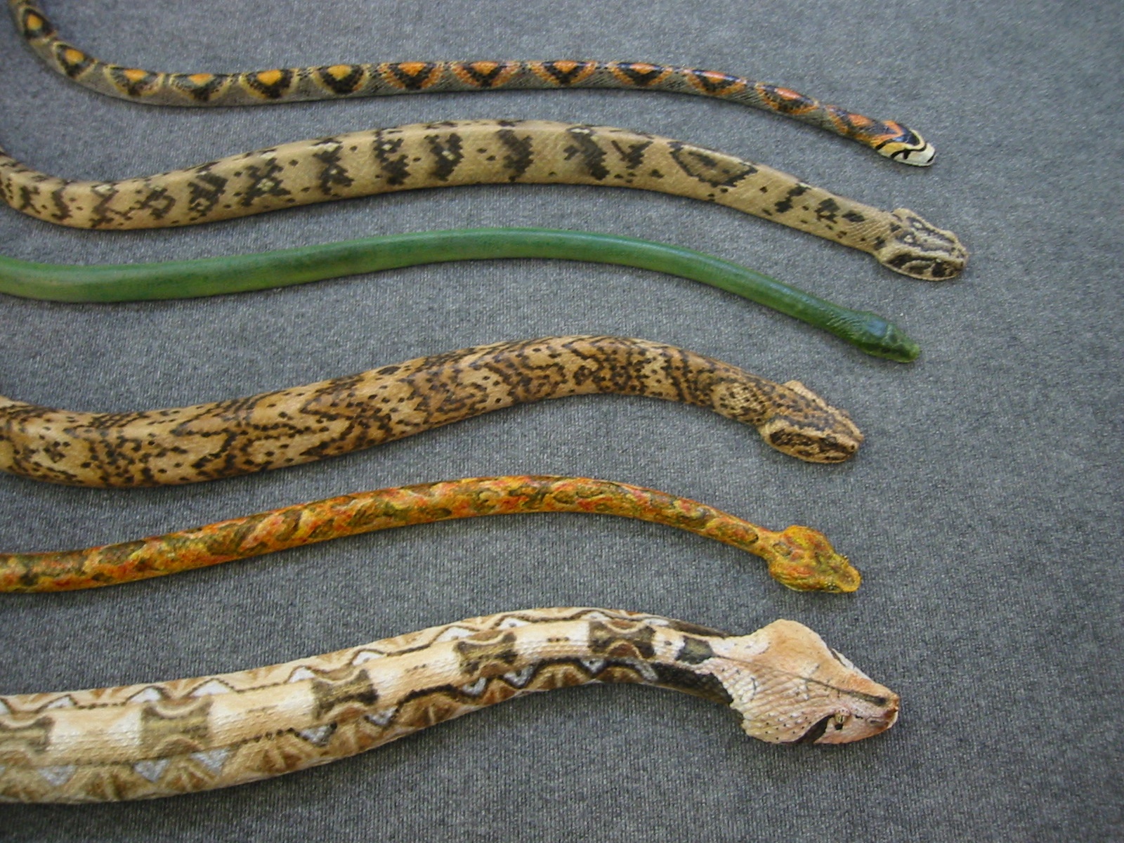 TCS Snakes On A Plane 